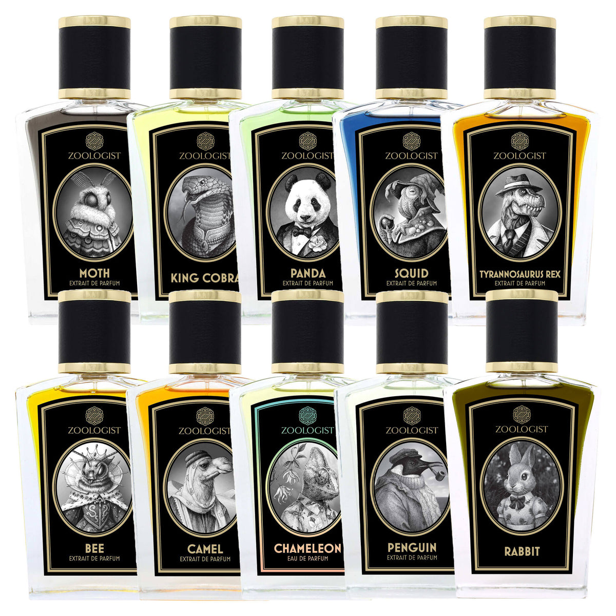 Zoologist Perfumes | Official UK Retailer | Slickboys