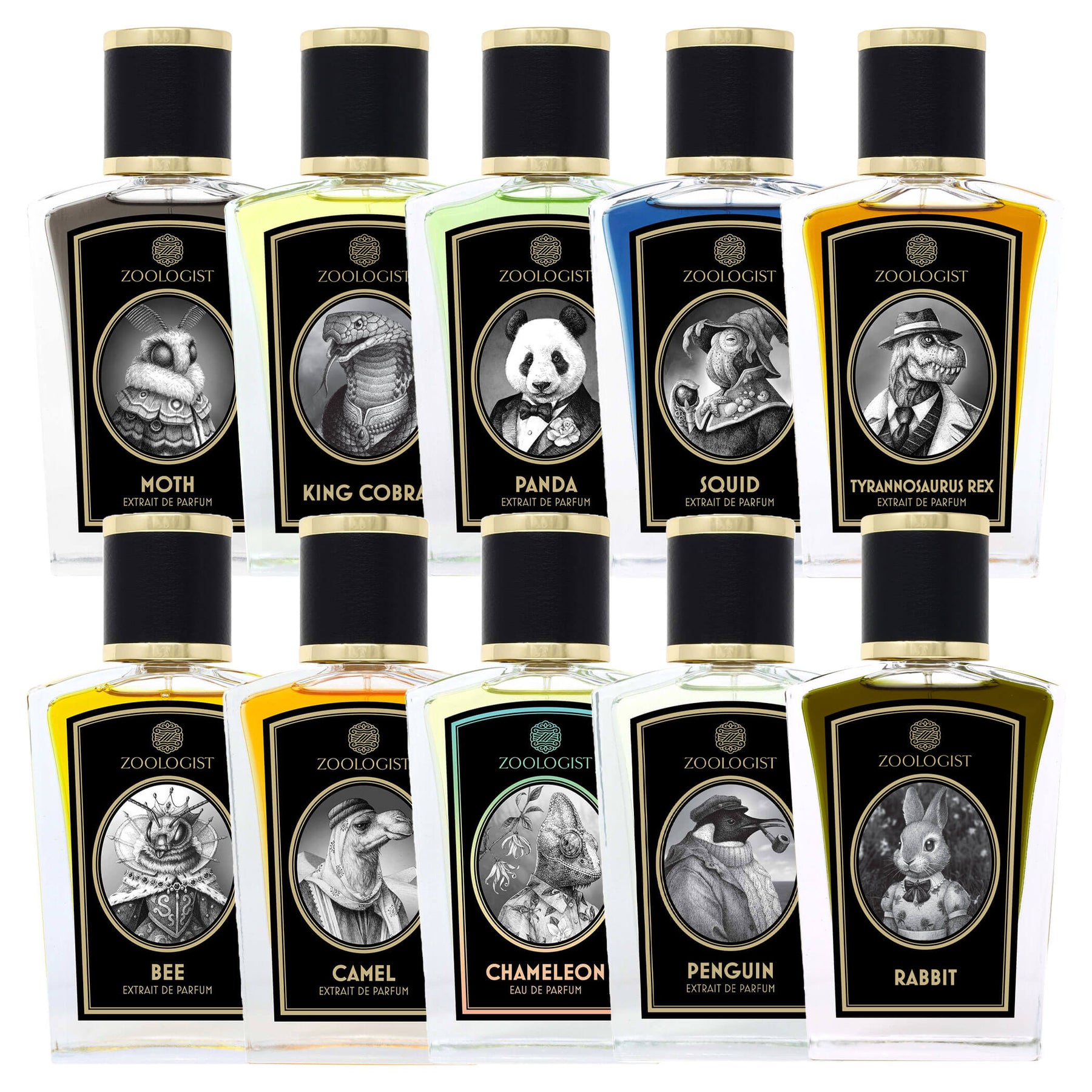 Zoologist Perfumes Sample Set | Slickboys